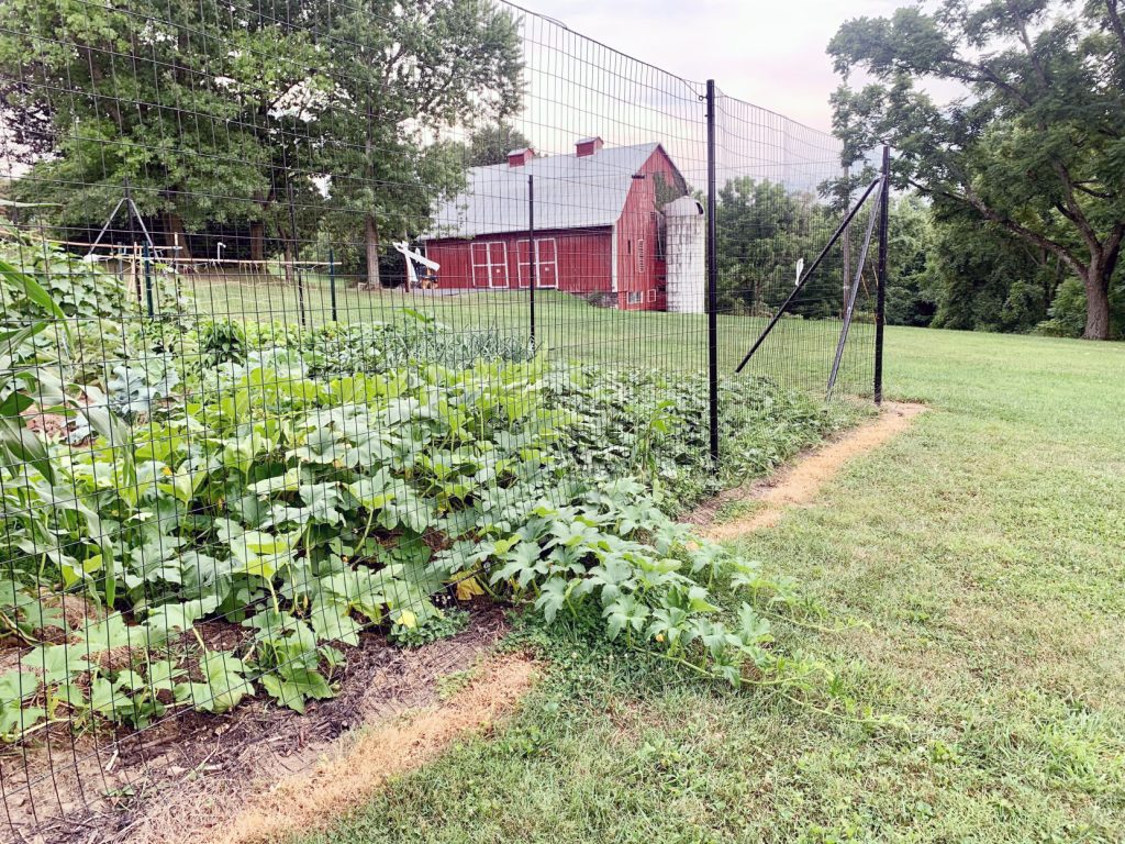 Seed to Supper program to teach gardening to county adults - Herald-Standard